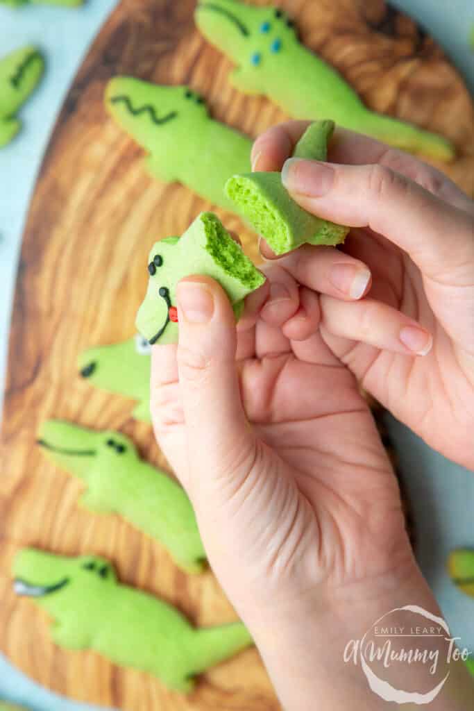 Crocodile Cookies (Cooking with Kids)