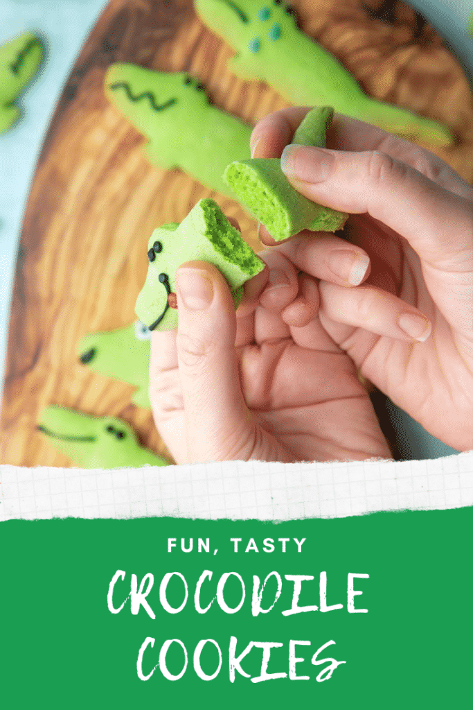 Crocodile Cookies (Cooking with Kids)