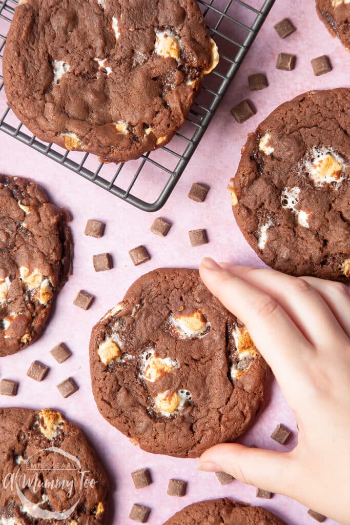 The Ultimate Marshmallow Cookie