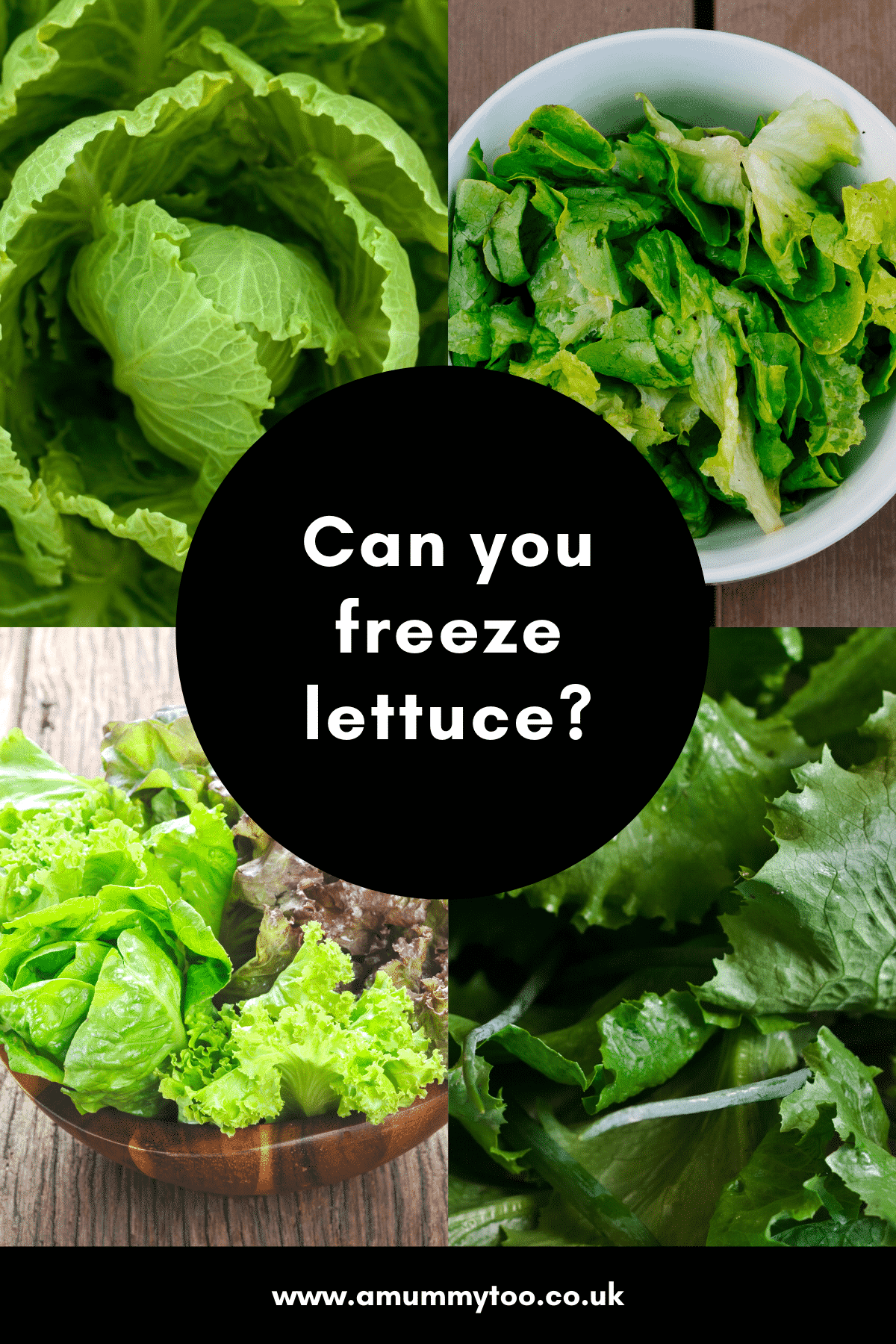 Can You Freeze Lettuce?