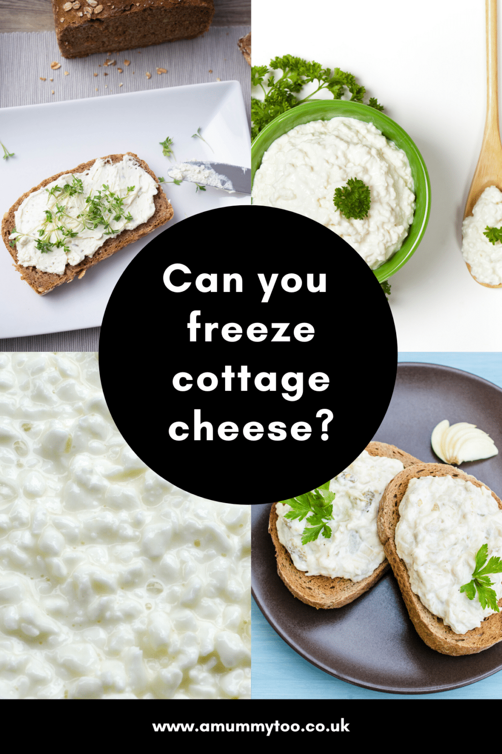 Can You Freeze Cottage Cheese?