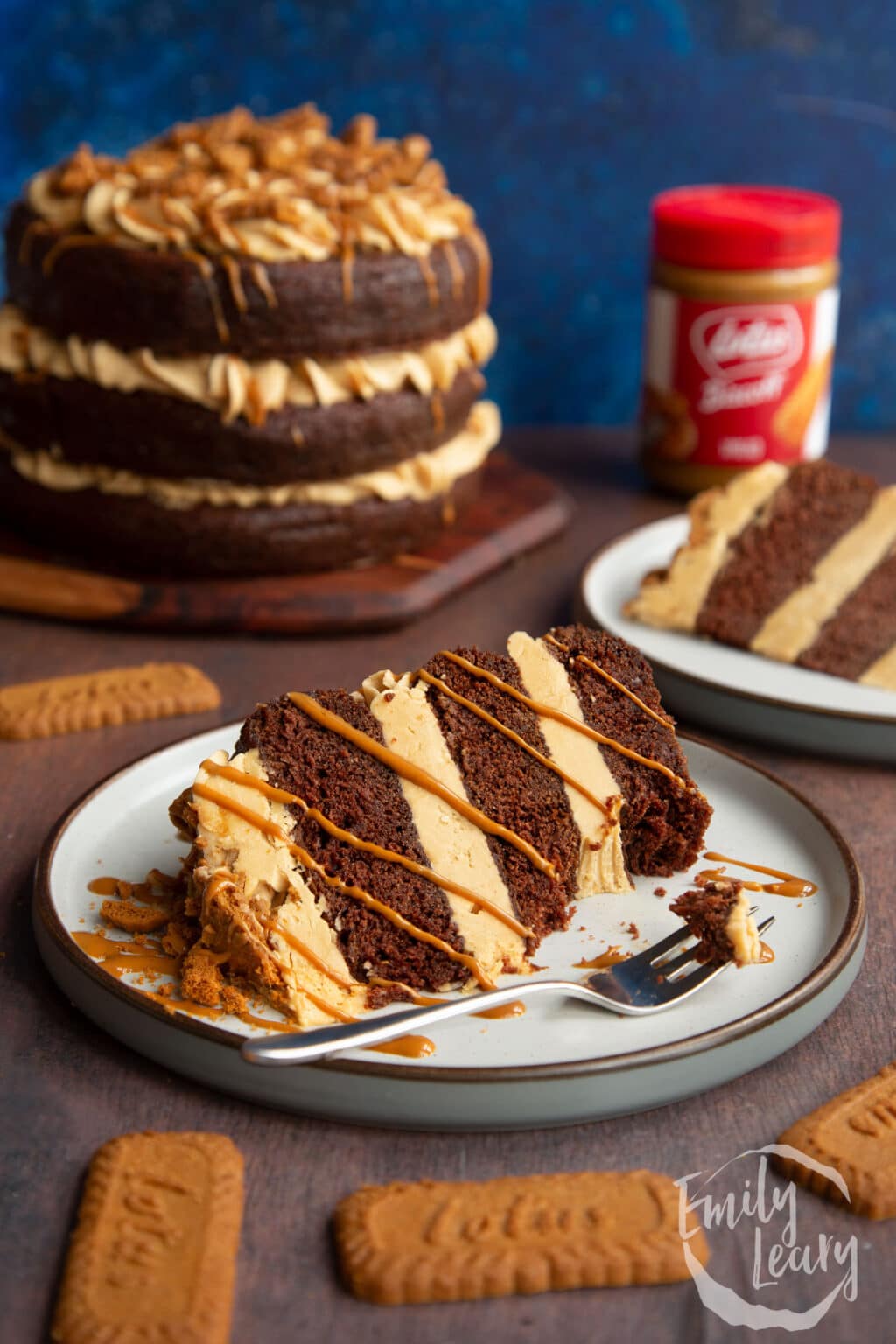 Chocolate Biscoff Cake