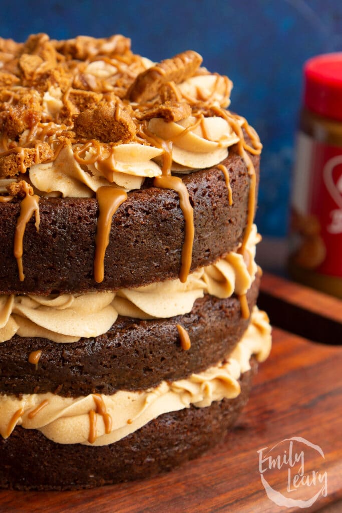 Chocolate Biscoff Cake