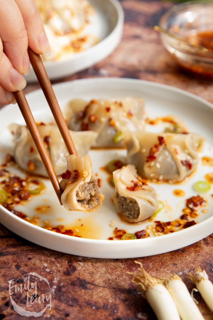 Mushroom Gyoza with Cabbage
